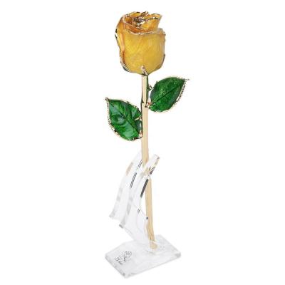 China High Quality Gold Trimmed Rose Preserved Flower Beautiful Handmade Gifts for Woman for sale