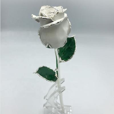 China Silver Trimmed  Real Roses Romantic Gifts Beautiful Flower Decoration Hot Sale for sale