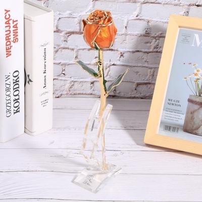 China China Manufacture Supply Gold Plated Real Rose Real Flower Natural Rose for Valentine Gifts Preserved Rose for sale