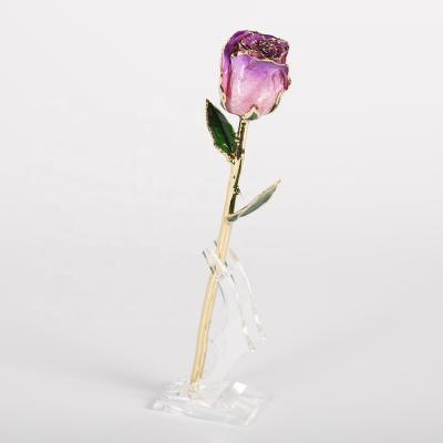 China Gold Plated Rose Fresh Preserved Flower Gold Plated 24k Gold Plated Rose Eternal Roses Flower Mother's Day for sale