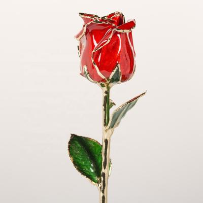 China Gold Plated Rose Fresh Preserved Flower Gold Plated Natural Rose Everlasting Rose Flowers Wholesale Valentine Mother Day for sale