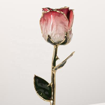China Gold Trimmed Rose Everlasting Rose  Natural Rose with Stem Present  Rose Gift Valentine Mother Day Preserved Flowers Supply for sale