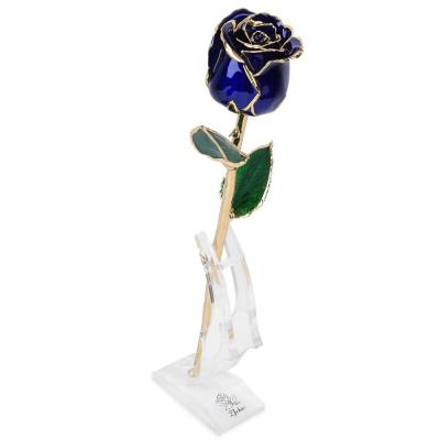 China Half-blooming 24k Gold Dipped Blue  Rose Rose Preserved Flowers  Gold Rose for Christmas Valentine's Day Mother's Day  Gifts for sale