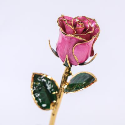 China European and American 24k Gold-plated Rose Gold Natural Real Rose Valentine's Day Wedding Anniversary Proposal love Gift for sale