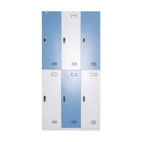 China Customizable Lateral Steel Metal Locker Cupboard 6 Door D450mm for sale