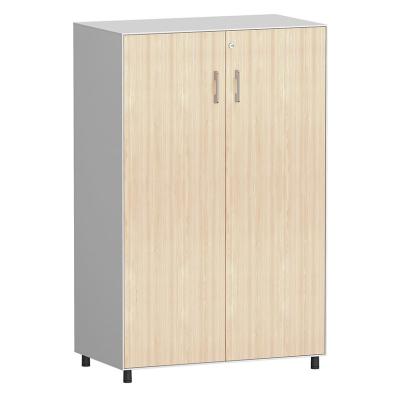 China Slim Edge 5mm Swing Door Cabinet Double Layers Plate Steel Office Cabinet for sale