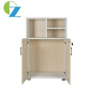 China Cold Rolled Steel Slim Metal Storage Cabinet Double 0.7mm for sale