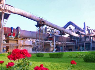 China Daily Capacity 5000 - 12000t Cement Rotary Kiln For Cement Plant Complete Equipment for sale