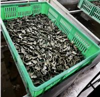 China Light Weight Precision Machining Investment Castings Good Mechanical Properties for sale