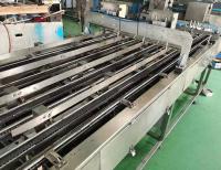China Chain Conveyors Widely Used In Mining Metallurgy Chemical Industry Foundry for sale