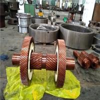 China Forging Steel  Worm Spur 1000 Torque Capacity Pinion Gear Shaft for sale