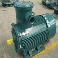 China Waterproof Three Phase 50 60HZ Mill Crusher Electric Motor Mining Machine Spare Parts for sale