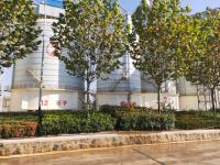 China Gold ore Ball Mill and cement ball mill for cement line 10000tpd for sale