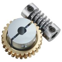 China Worm Precision Spur Pinion Gear Anti-Backlash Stainless Steel Worm Gear for sale