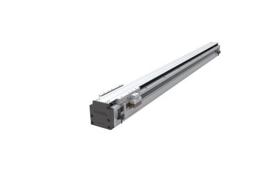 China High Rigidity  Long Stroke Linear Motor DDL  High Precision for sale
