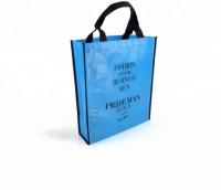 China Custom PP Shopping Bags - 12