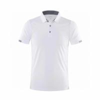 China 100% Polyester Quick-Dry Polo Shirt - Breathable 160-180 GSM Men's & Women's Short Sleeve T-Shirt for sale