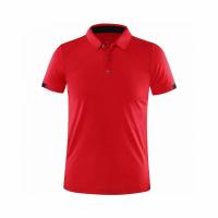 China 100% Polyester Quick-Dry Polo Shirt - Breathable 160-180 GSM Men's & Women's Short Sleeve T-Shirt for sale