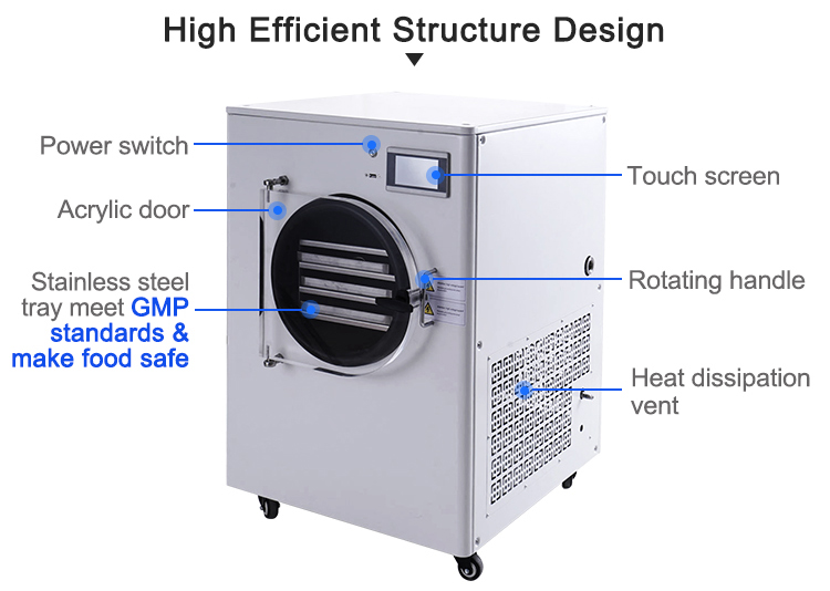vacuum freeze dryer