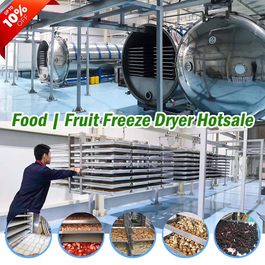 vacuum freeze dryer