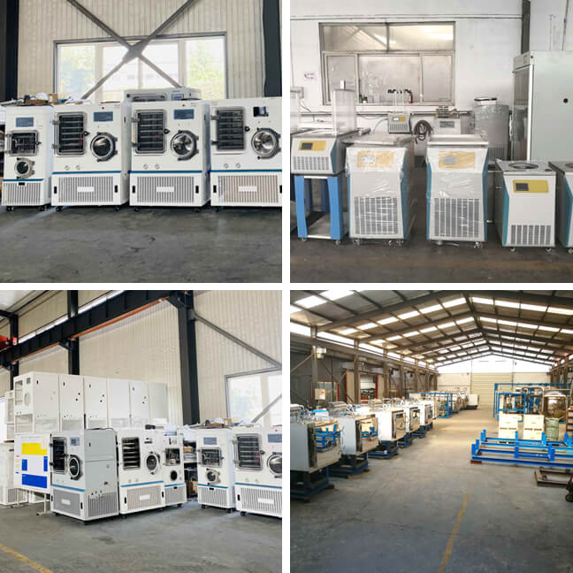 vacuum freeze dryer
