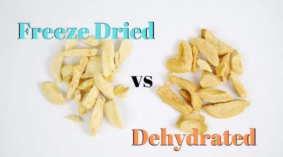 freeze dryer