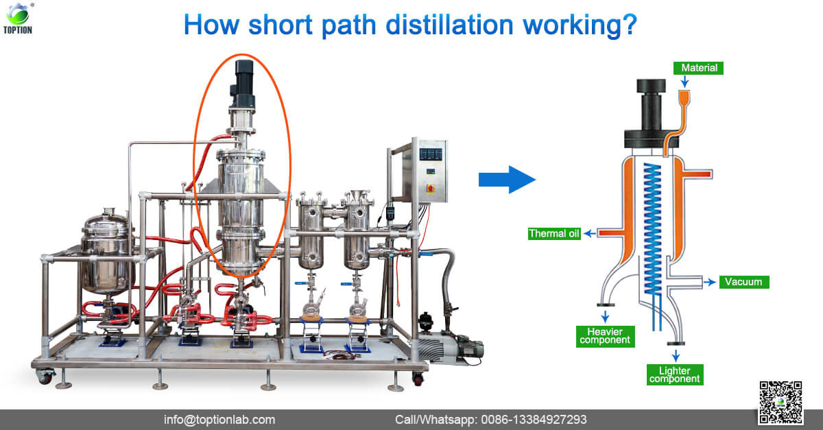 short path molecular distillation