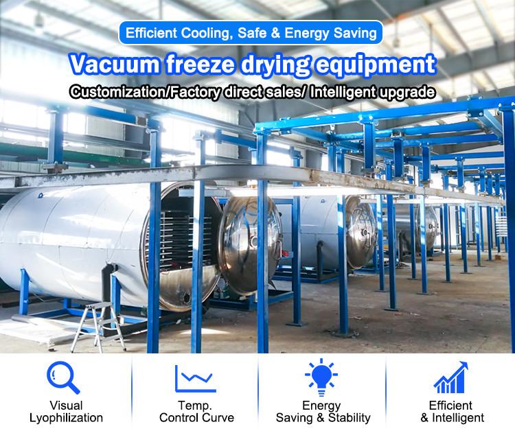vacuum freeze dryer