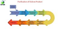 China Purification Process for Violet Ketone for sale