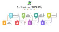 China DHA EPA Purification Wiped Film Evaporator TOPTION Short Path Evaporator for sale