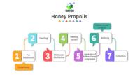China Honey Propolis Purification Wiped Film Evaporator Short Path Vacuum Distillation for sale