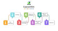 China Capsanthin Extraction Wiped Film Evaporator Short Range Molecular Distillation for sale