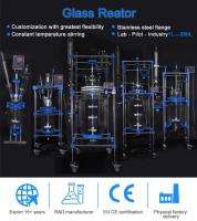 China 10L 20L 50L Jacketed Glass Reactor Glass & Stainless Steel Reactor for sale