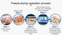 China Small Lyophilizer Freeze Dryer Toption Freeze Drying And Lyophilization for sale