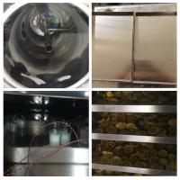 China OEM Freeze Dryer Vacuum Pump Freeze Drying Equipment Top Press for sale