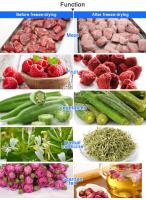 China ISO Commercial Freeze Dry Machine For Meat Fruit Vegetable for sale