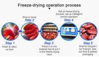 China Household Freeze Dry Machine Toption China Freeze Dry At Home for sale