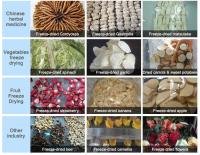 China 2.5 Liters Freezing Drying Machine Toption Freeze Dry Food Machine for sale