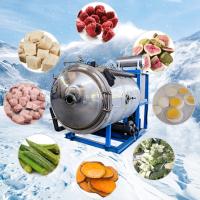 China Vegetables Food Vacuum Freeze Dryer SS Freeze Drying Equipment for sale