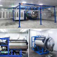 China Vegetables Food Vacuum Freeze Dryer SS Freeze Drying Equipment for sale