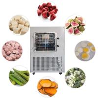 China TOPTION Efficient 4 - 5L Capacity Home Freeze Dryers Keep Fresh For Longer for sale