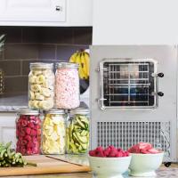 China TOPTION Efficient 4 - 5L Capacity Home Freeze Dryers Keep Fresh For Longer for sale
