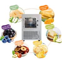 China TOPTION Efficient 4 - 5L Capacity Home Freeze Dryers Keep Fresh For Longer for sale