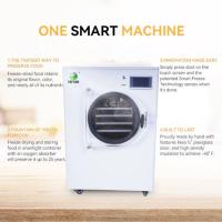 China Advanced Freeze Dryer Machine Experience the Best in Fruit Preservation for sale