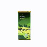 China Custom Printed Olive Oil Tin Cans - 0.23mm Thickness Tinplate Food Packaging in 1-20L Sizes for sale