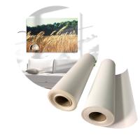 China Aqueous Inkjet Matte Cotton Print Canvas Art Roll Blank Canvas for sale