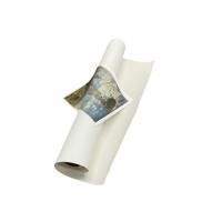 China Eco-solvent 260gsm Inkjet Canvas Polyester Cotton Matte Printing Inkjet Canvas Roll for sale