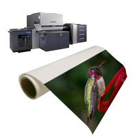 China Luste Satin Fast Printable Indigo Paper For Hp Printing for sale
