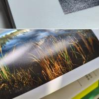 China Premium 210gsm Waterproof Luster Indigo Paper for Double-Side Printing on KONICA MINOLTA Digital Press for sale