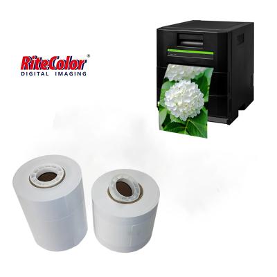 China Wholesale Drylab Resin Coated Inkjet Luster Printing Photo Paper Roll 260gsm for sale